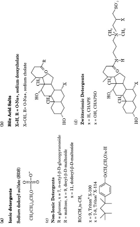 Classes Of Detergents Used In Membrane Protein Purification And Download Scientific Diagram