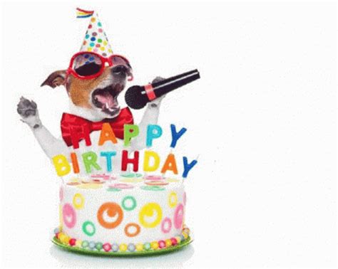 Birthday Party S