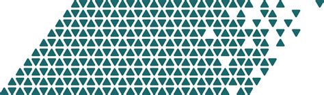 Pest Alert Sentry Vergo Pest Management