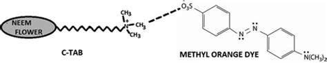 Schematic Representation Of Adsorption Process Download Scientific