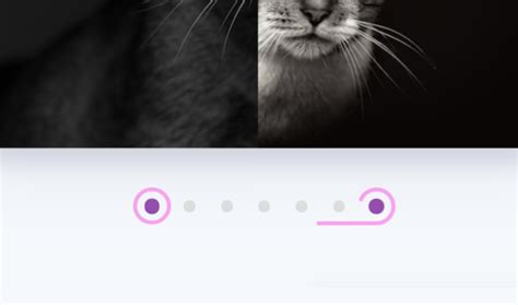 css animation weekly 40 svg line morphing webgl spirals