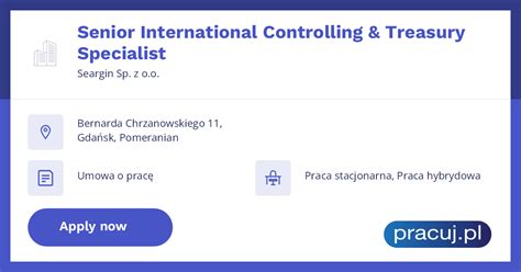 Oferta pracy Senior International Controlling Treasury Specialist Seargin Sp z o o Gdańsk
