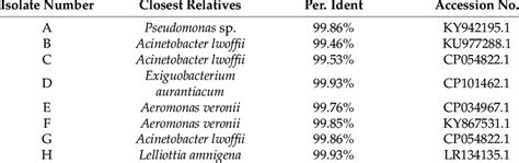 Strains Identified By Means Of The 16s Rdna Sequencing Fragments From Download Scientific