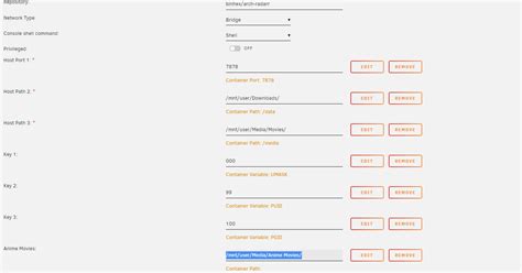 More Than One Path In Radarr And Sonarr Runraid