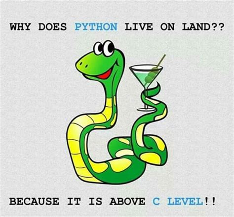 Sea R Programmerhumor