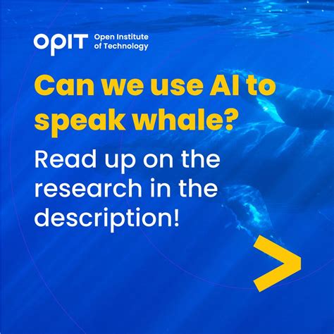 Opit Open Institute Of Technology On Linkedin Computerscience