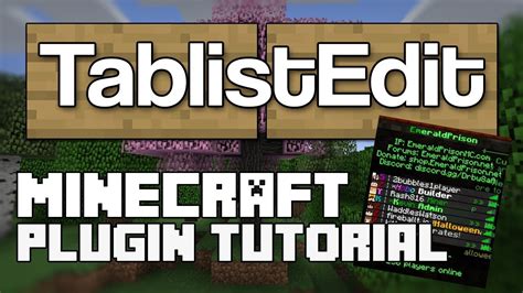 Tablistedit Plugin Tutorial Minecraft 116 Youtube