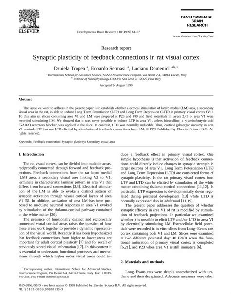 Pdf Synaptic Plasticity Of Feedback Connections In Rat Visual Cortex Dokumentips