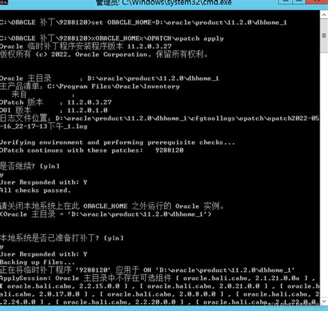 oracle11 2 0 1数据库打补丁 oracle数据库打补丁 csdn博客