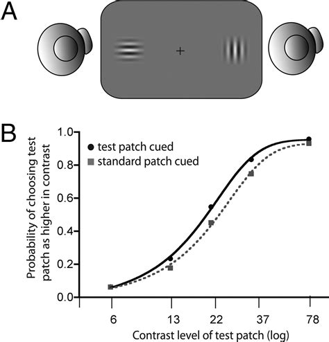 Cross Modal Cueing Of Attention Alters Appearance And Early Cortical Processing Of Visual