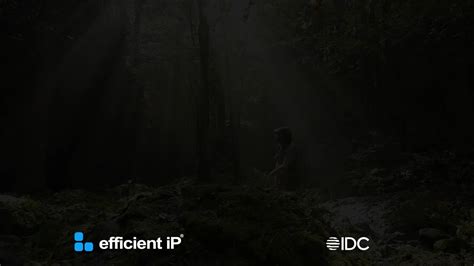 [video] Leonard Dahan Posted On Linkedin