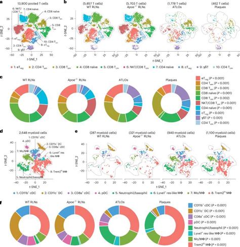 Imgm Laboratories Gmbh On Linkedin Pairing Of Single Cell Rna Analysis And T Cell Antigen