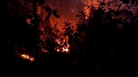 El Incesante Incendio Forestal En San Pablo Ayutla Poblado Oaxaqueño
