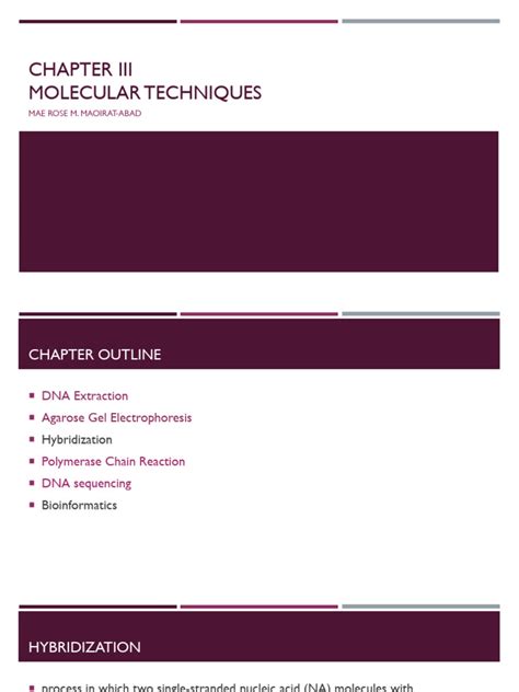 Chapter 3 Part 2 Pdf Polymerase Chain Reaction Primer Molecular