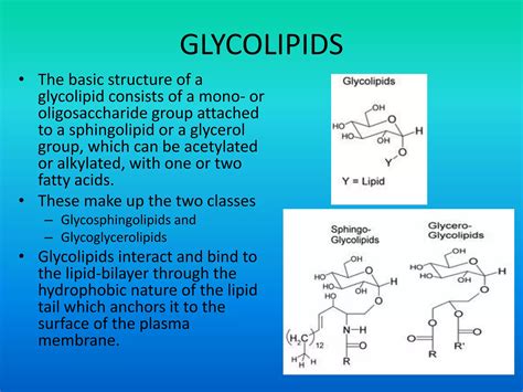 Lipids Structure And Functions Pptx