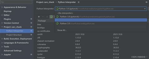 无法import Torch，出现报错import Torch报错 Csdn博客