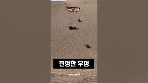 진정한 우정 Youtube