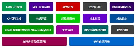 原创winform快速开发框架平台oracle版本（三层架构 c oracle数据库） c s框架网