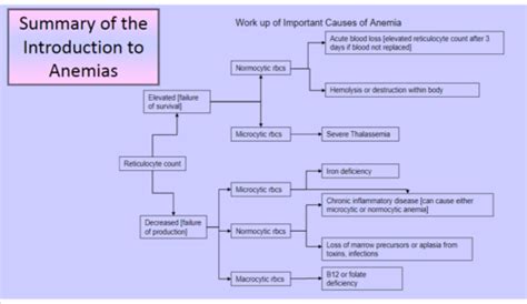 Introduction To Lab Evaluation Of Rbcs And Wbcs Flashcards Quizlet