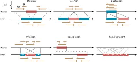 癌症基因组 结构变异介绍及分析 知乎