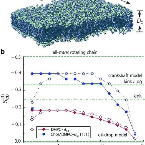 Comparison Of Theoretical And Solid State 2 H Nmr Spectroscopy Results
