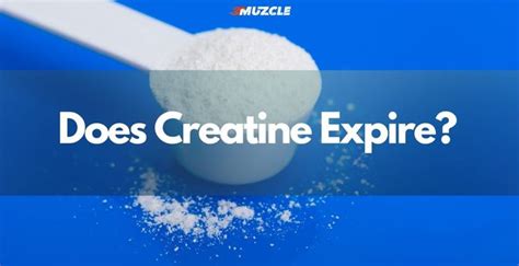 Can Ceatine Go Bad Explained