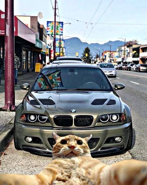 Nissan Skyline Gt R R34 Cat Icon