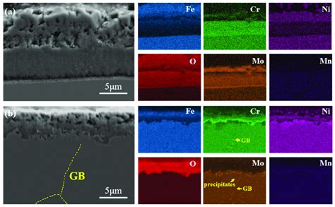 Sem Cross Section Morphologies And Eds Analysis Results Of 254smo 0b