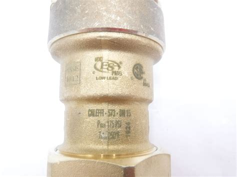 Caleffi 1 2 X 1 2fnpt Dual Check Backflow Preventer W Atmospheric Vent 573403a Oneclick