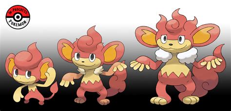 Pokemon Pansear Evolution Chart