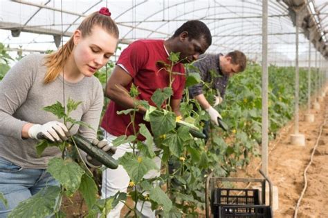 Food Traceability Why It Matters In The Packaging Industry