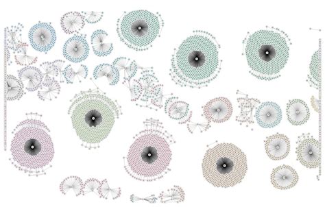 Network Chart Flourish