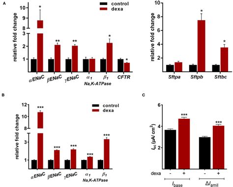 Effects Of Dexamethasone On Fetal Los Compared To Fdle Cells Data Are Download Scientific