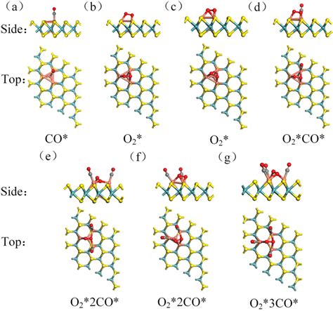 Top And Side Views Of The Geometric Configurations Of Adsorption Sites