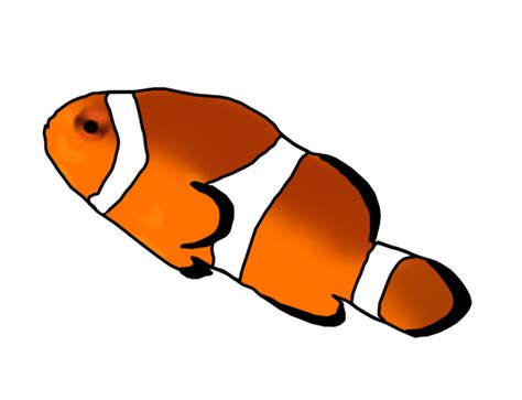 Pez Payaso Vector By Ratadp On Deviantart