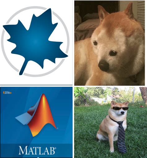 Shoutout To The Math Programmers Rprogrammerhumor