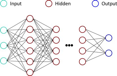 An Example Of Deep Neural Network Architecture Download Scientific