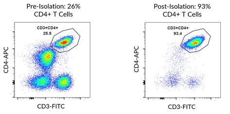 Human Cd4 T Cell Isolation Kit Ab322033 Abcam