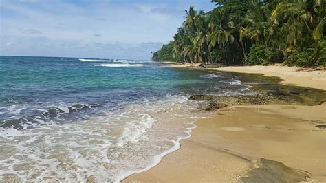 Costa Rica Manzanillo Beach At Dorothy Lim Blog