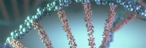 DNA Diagnostics Center Culture Comparably