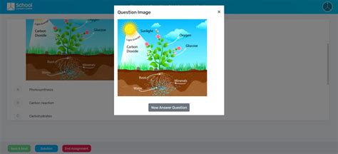 Jordanian Science Olympiad Examination Syllabus