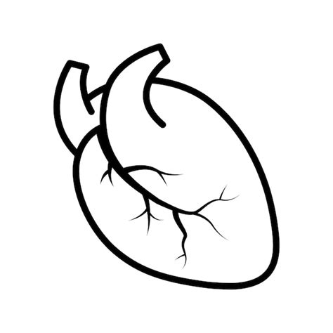 Premium Vector Human Heart Icon Vector On Trendy Design