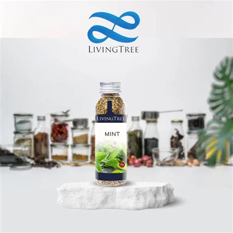 Daun Mint Kering 25 Gr Dried Mint Flakes Original Livingtree Lazada Indonesia