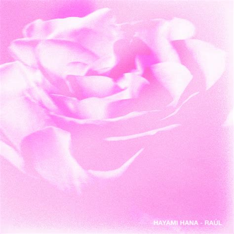 Hayami Hana English Translation Rauw Alejandro Genius Lyrics