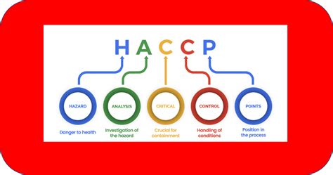 Quality Management System With Haccp Fresh Logistics Refrigerated Courier