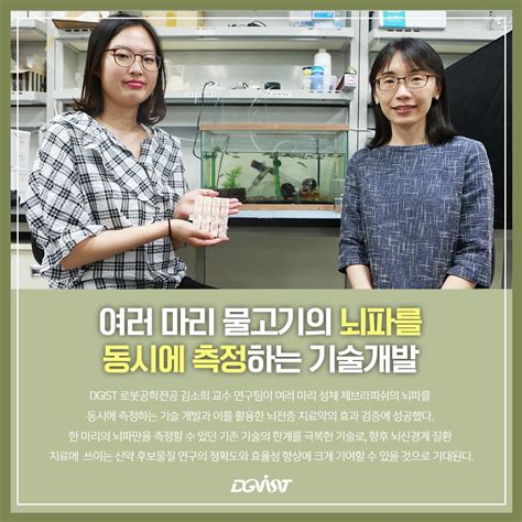 dgist dgist 로봇공학전공 김소희 교수 연구팀이 여러 마리 성체 成體 제브라피쉬의 뇌파를