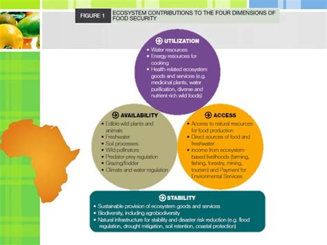 Harnessing Ecosystem Based Adaptation Approaches For Improved Resilience Ppt