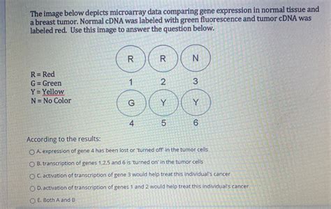 solved the image below depicts microarray data comparing