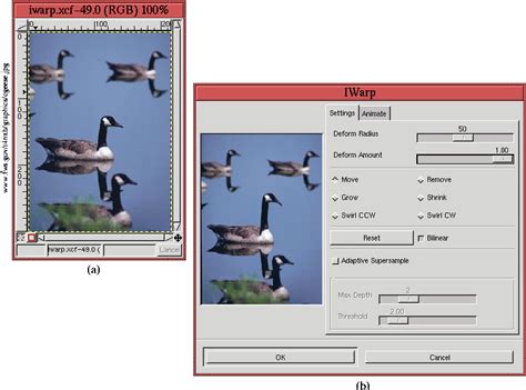 Gimp Advanced Guide 9 1 6 Iwarp