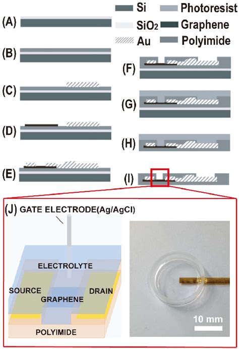 Flexible Solution Gated Graphene Field Effect Transistor For Electrophysiological Recording